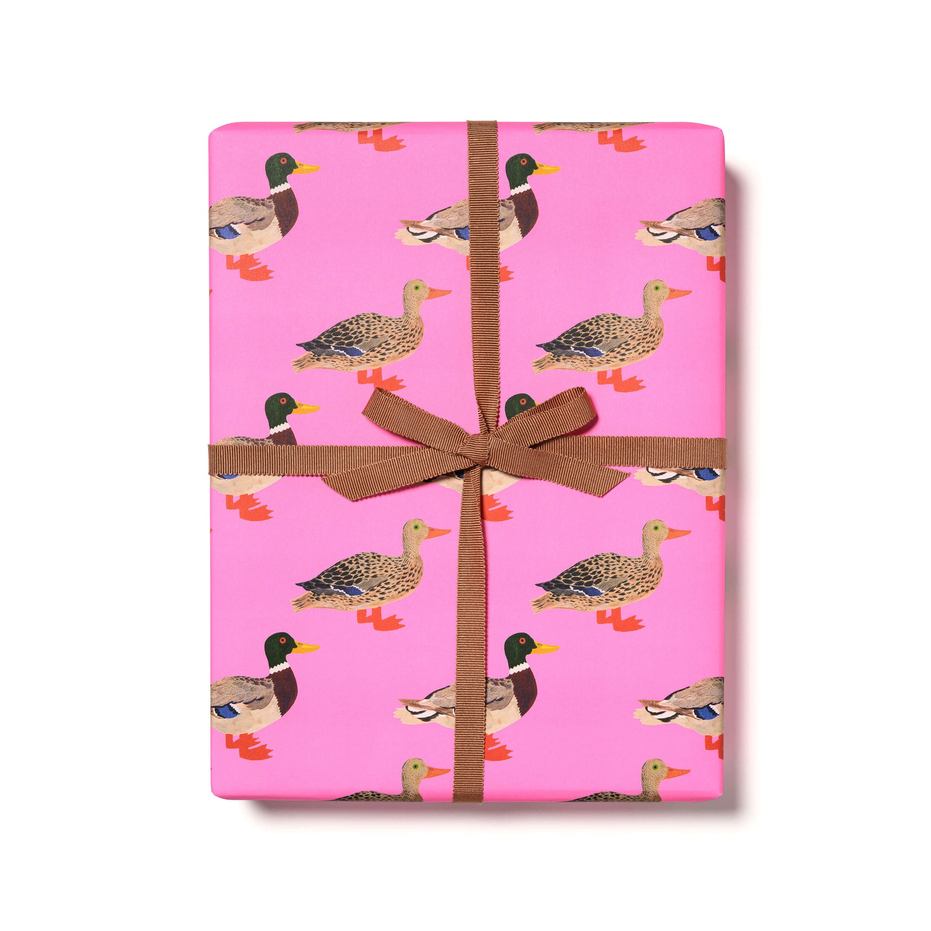 Quacky Birthday wrapping paper – Red Cap Cards
